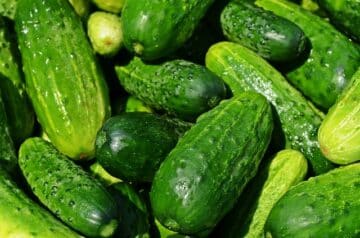 5 Best Vegetables for Acid Reflux and Heartburn